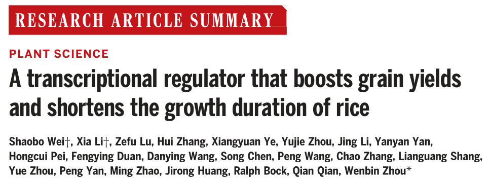 转录因子的不同调控机制和案例 - 知乎