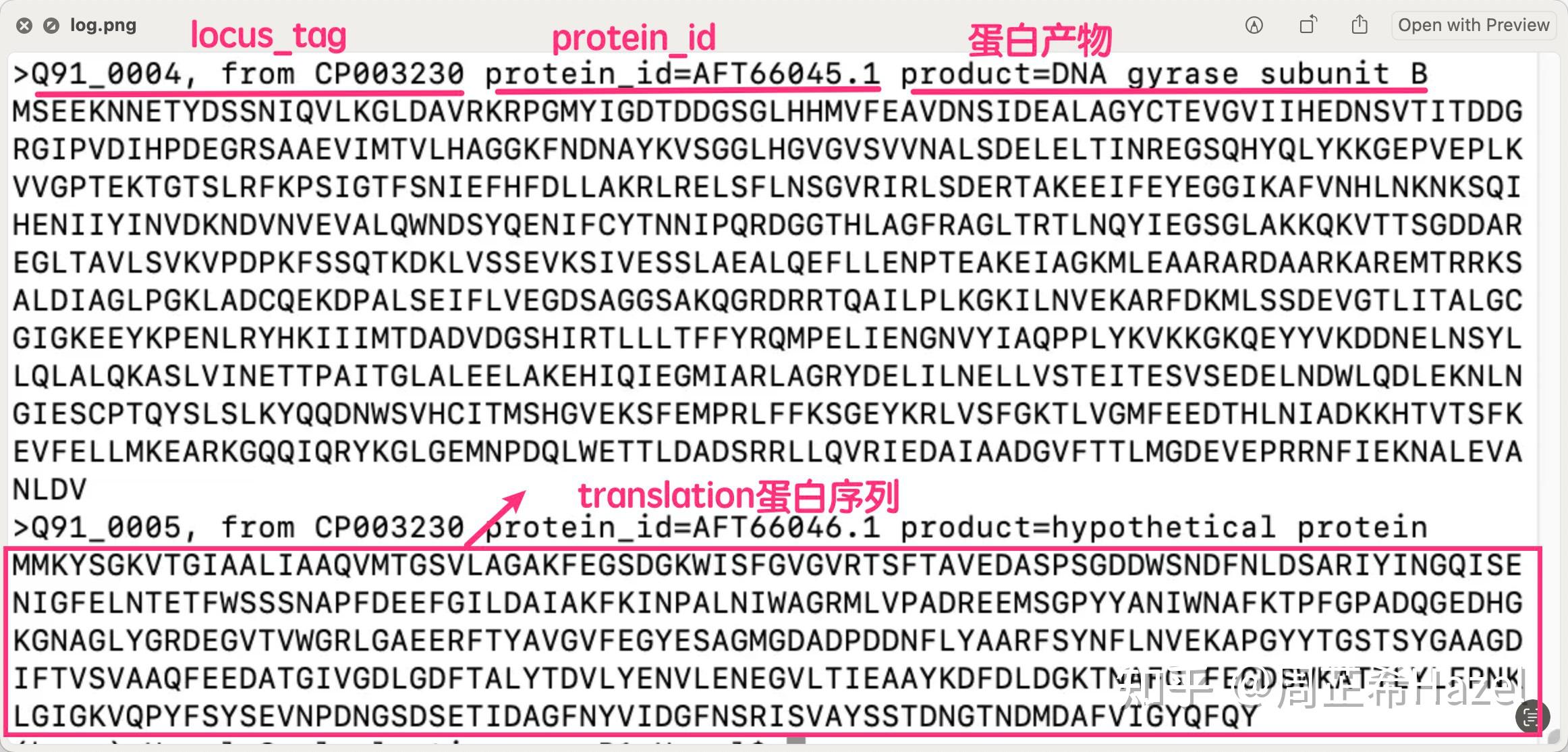 生信Log2|一个提取gbk信息的python脚本-但2023版 - 知乎