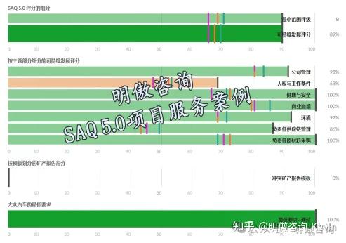 SAQ 5.0-汽车供应链可持续发展评级结果详细解读 - 知乎