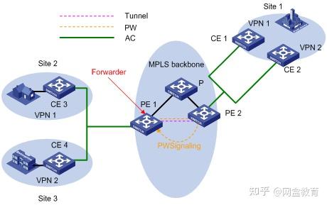 网络工程师必备干货 | VPLS技术 - 知乎