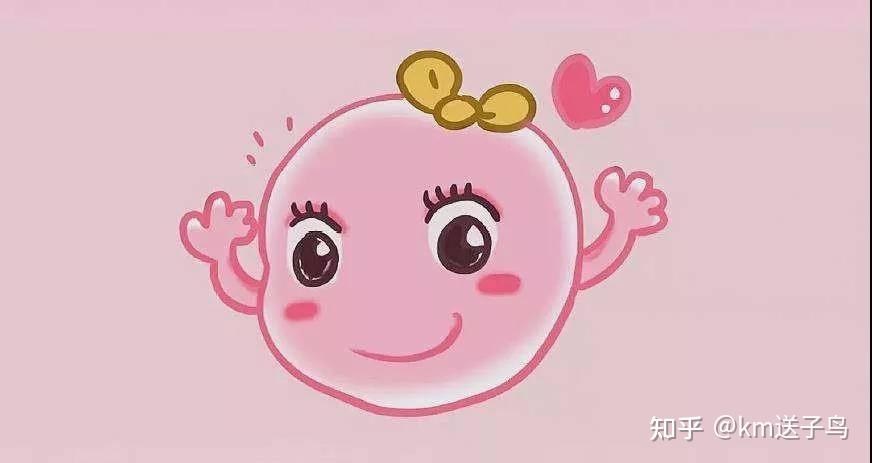 如何养出又大又圆的优质卵泡? 知乎