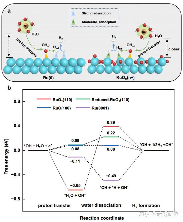 学术前沿|钌表面的界面水和反应中间体在碱性析氢反应中的作用 - 知乎