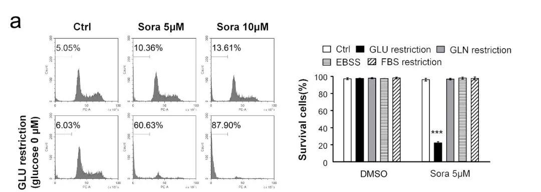 Exp Mol Med︱卢国栋/沈汉明/彭涛团队发现索拉非尼联合葡萄糖限制促进肝癌细胞死亡的新机制 - 知乎