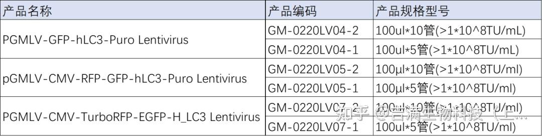 自噬研究工具 | LC3自噬慢病毒实验原理及应用 - 知乎