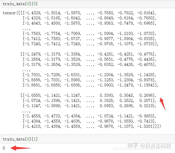 Pytorch+CNN+猫狗分类实战 - 知乎