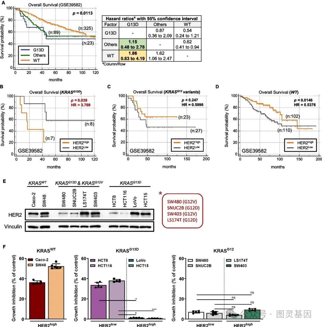 Mol Cancer | 突破性发现：靶向 HER2-ELF3-KRAS 轴为 KRAS G13D 结直肠癌提供精准治疗新策略 - 知乎