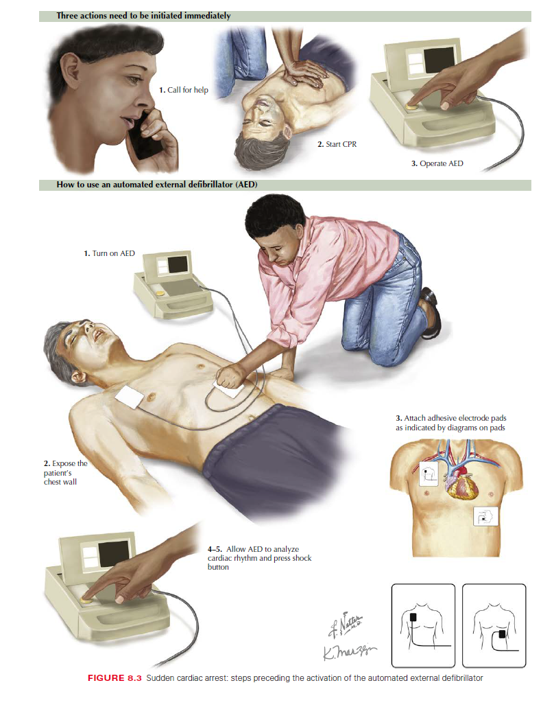 新书入库 I NETTER’S INTRODUCTION TO CLINICAL PROCEDURES - 知乎