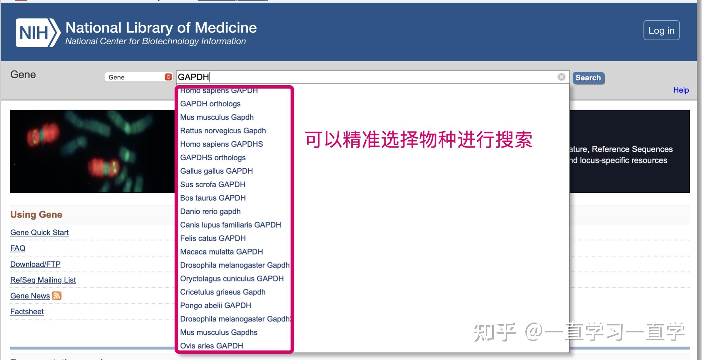 手把手教会你荧光定量PCR（Qpcr）引物设计 - 知乎