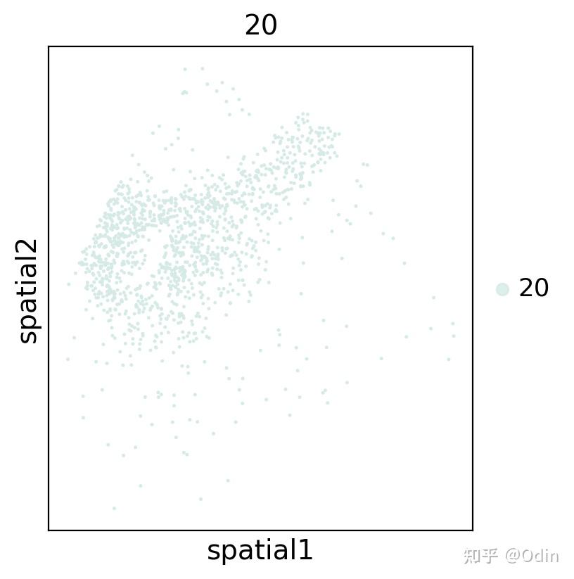 教程：用scanpy和squidpy分析单细胞空间转录组数据 - 知乎
