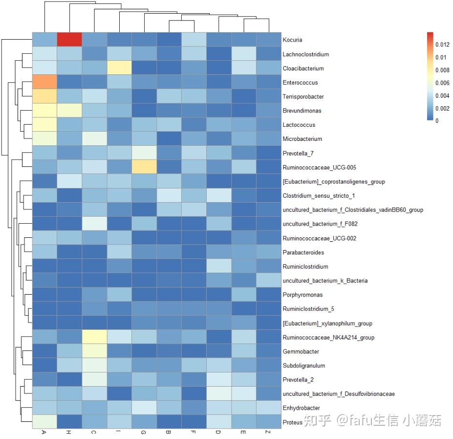 R语言 pheatmap 包绘制热图（基础部分） - 知乎