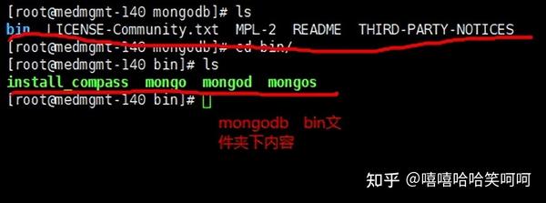 Mongodb安装与基本使用 知乎 