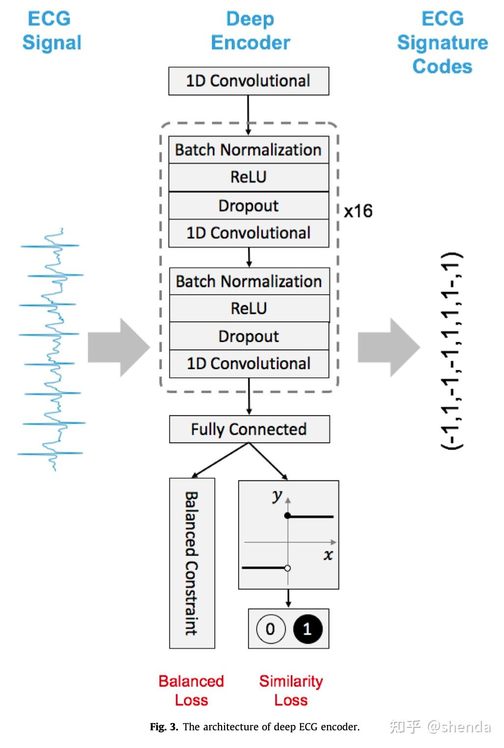 [Neurocomputing 2020] 基于心电信号的身份识别 - 知乎