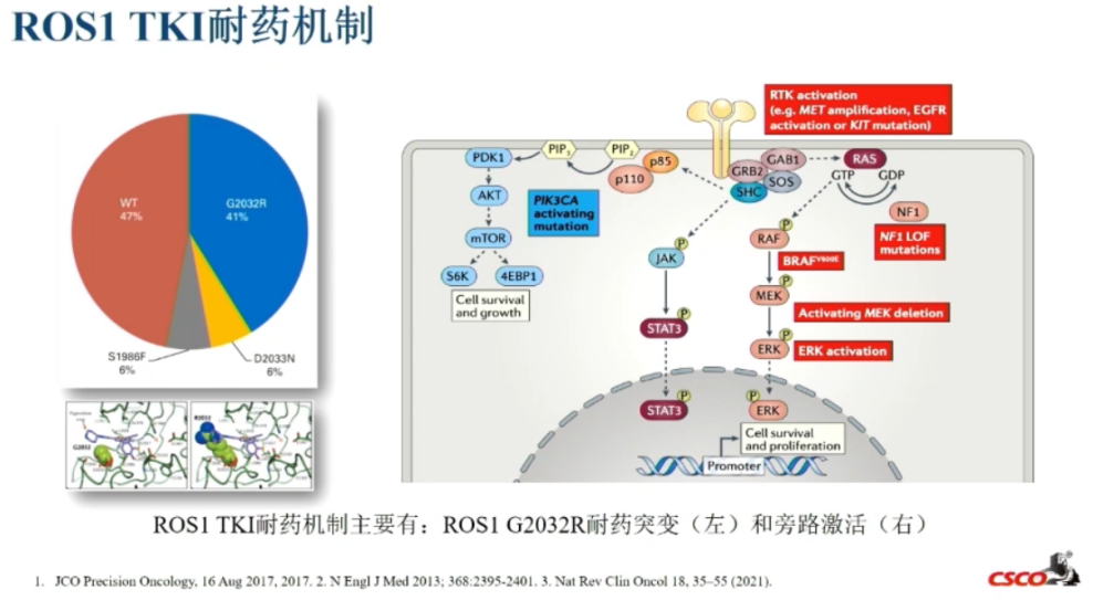 CSCO2021丨新一代的ROS1抑制剂，它来了！ - 知乎