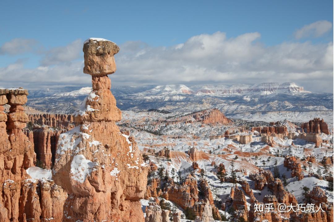 Phoebe Yang：本可以转码的景观设计师 - 知乎