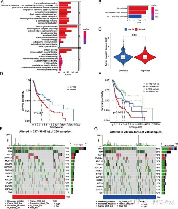 6+ 铜死亡：头颈部鳞状细胞癌生物标志物 - 知乎