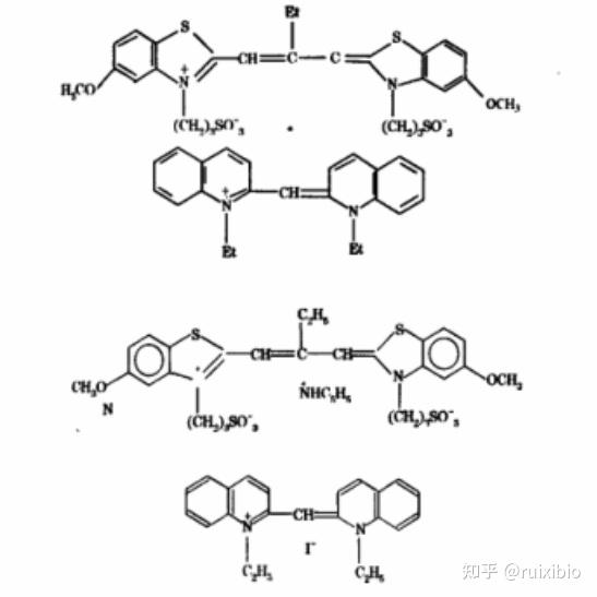 带活性基团修饰NIR-II荧光染料/新型NIR-II荧光探针IR-FP8P - 知乎
