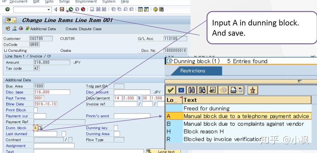 SAP FICO Lecture 18_Dunning - 知乎