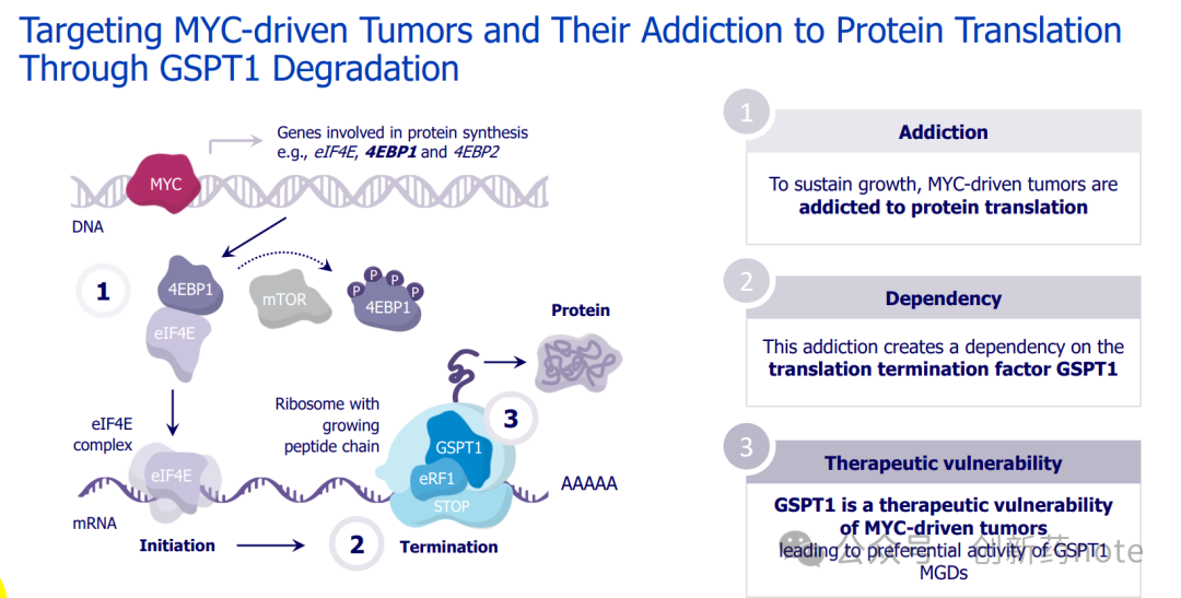 Monte rosa therapeutics – 分子胶领域的王 - 知乎