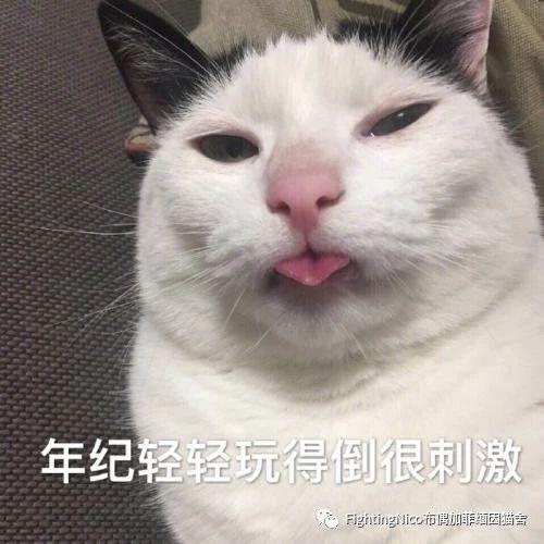 猫咪露肚皮勾引我，我上手摸反而被打是为什么？ 知乎