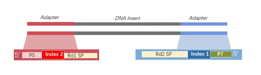 干货 | Index这件小事，你get了吗？ - 知乎