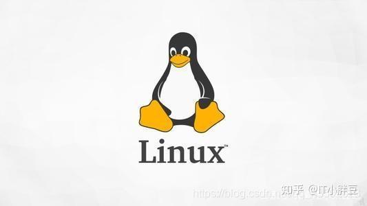 Linux新手入门系列：Linux系统主要目录说明及硬盘分区方案 - 知乎