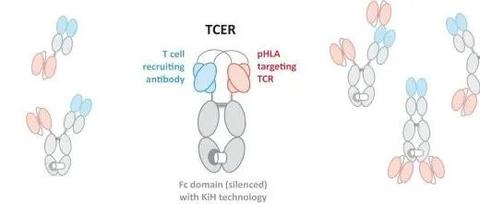 BMS斥资9.2亿美元收购Immatics候选TCR疗法 - 知乎