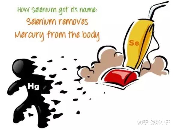 Selenium的历史：什么是selenium？谁创造了selenium？ 知乎