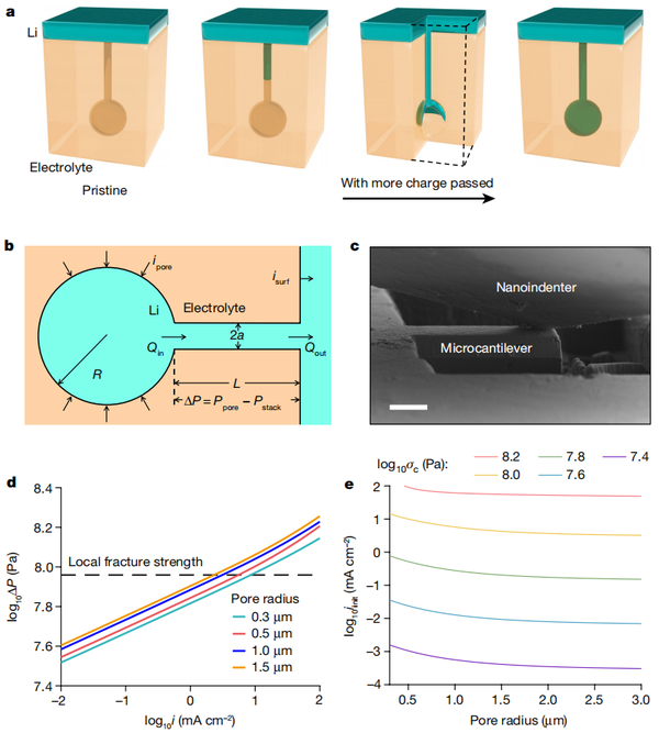 中国青年学者一作！《Nature》：“看见”锂枝晶 - 知乎