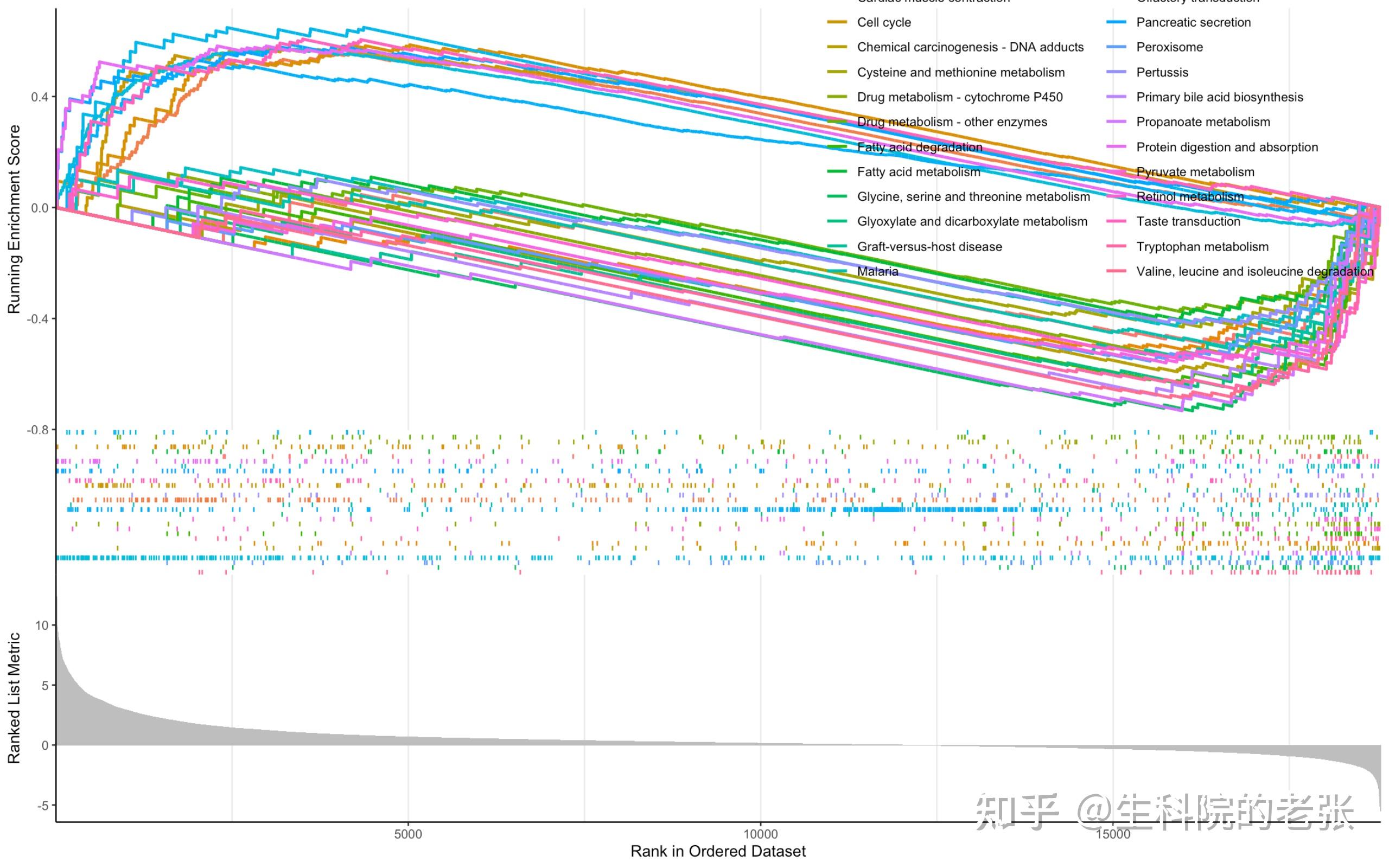 最全的GO, KEGG, GSEA分析教程(R),你要的高端可视化都在这啦！[包含富集圈图] - 知乎