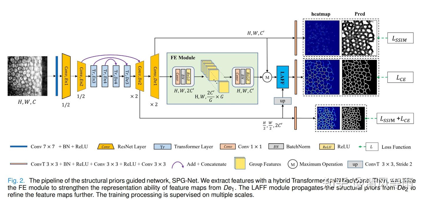 IEEE Transactions on Medical Imaging(TMI)论文推荐：2024年01月(2) - 知乎