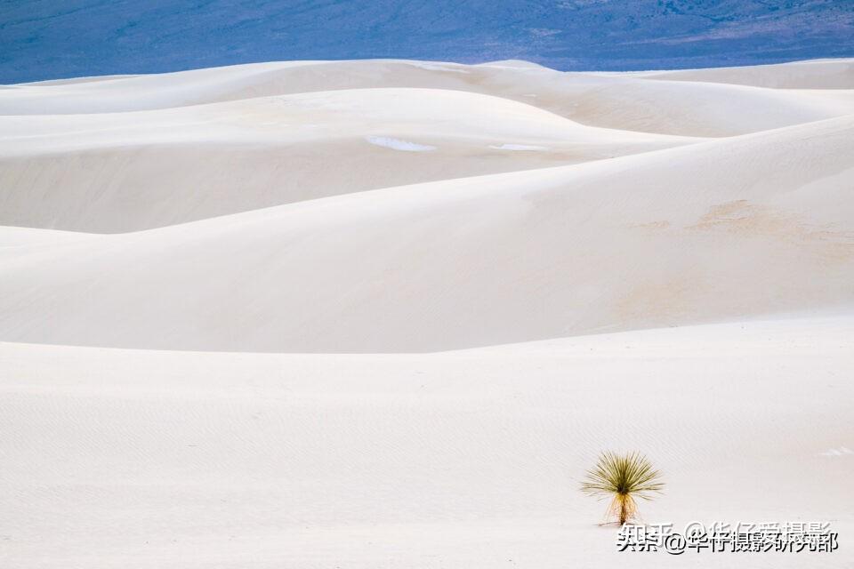 尼康 Z9 的权威评测：1. 机身概述和规格特点（持续更新） - 知乎