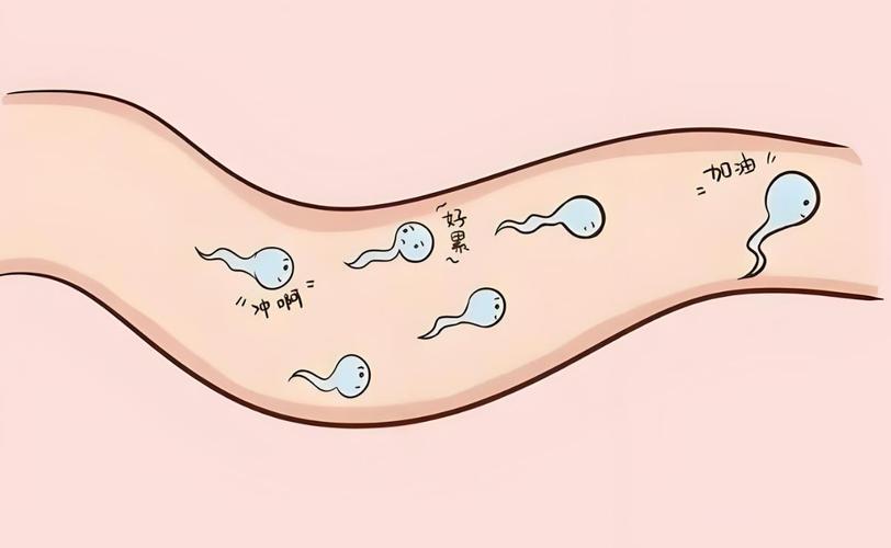 精子“弱”了怎么办？磁振磁电磁治疗仪来助力！ - 知乎