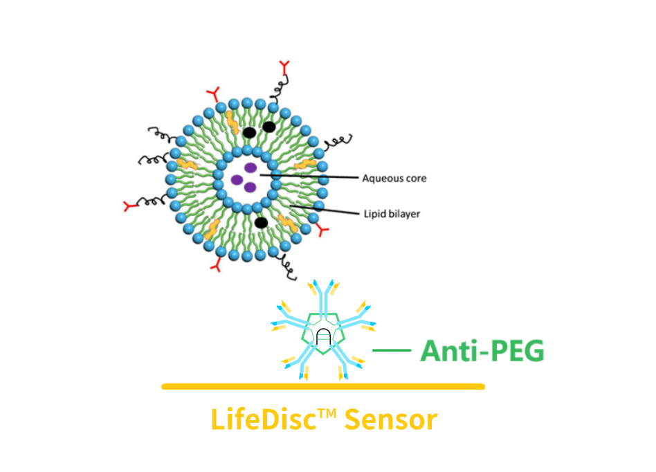 「芯产品」｜LifeDisc™ Anti-PEG生物传感器在LNP与脂质体领域的应用 - 知乎