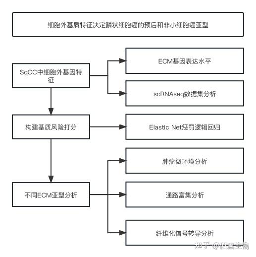 15分+的ECM生信分析都能做些啥？ - 知乎