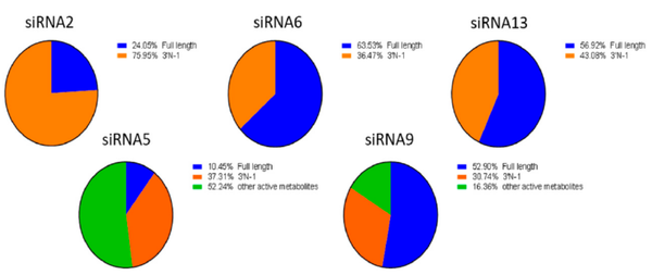 GalNAc-siRNAs药物ADME特性及PK-PD模型 - 知乎