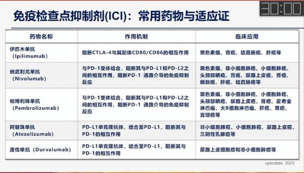 OCN2022|倪兆慧教授：重视肿瘤靶向治疗导致的肾损伤 - 知乎