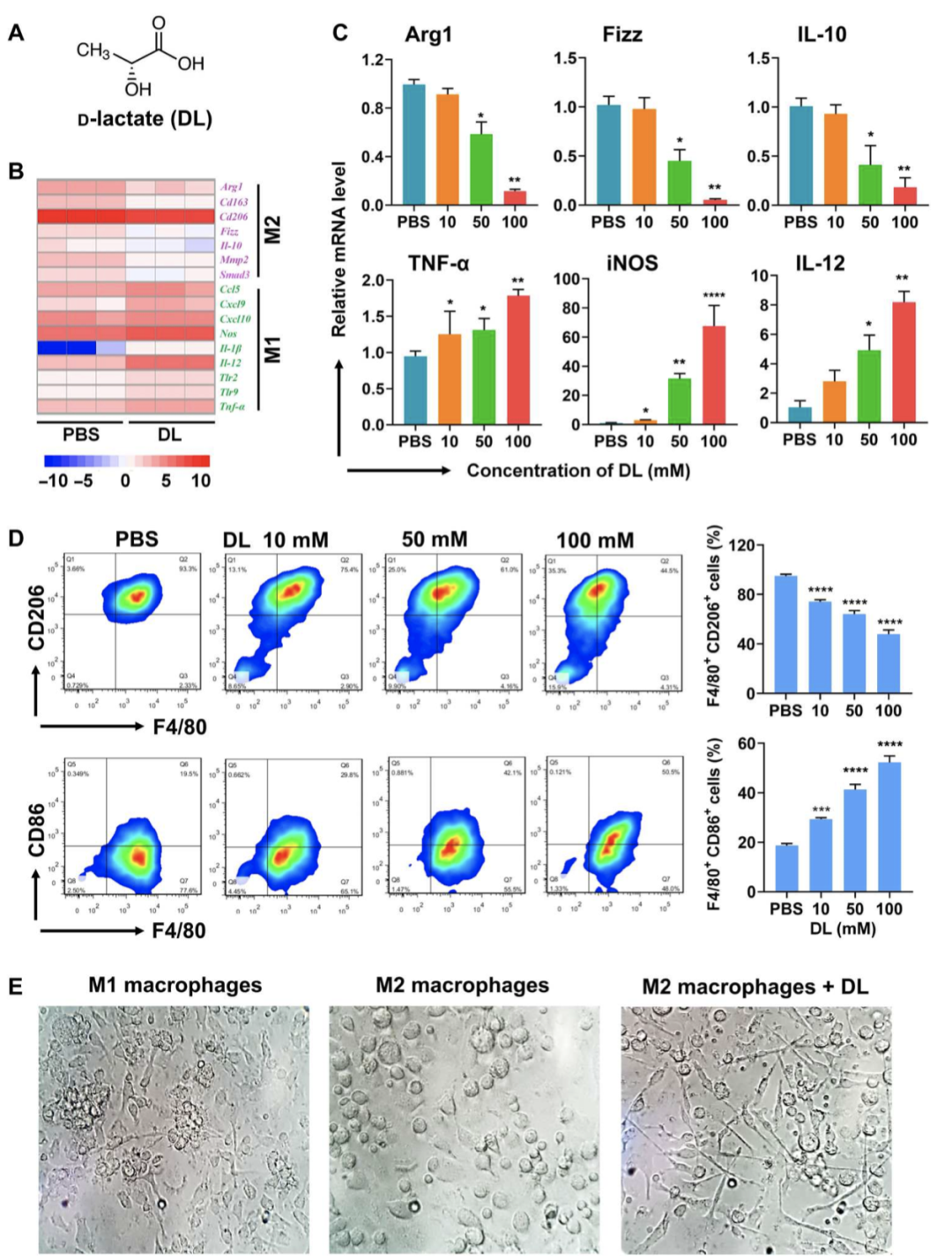 Science Advances丨d-乳酸调节 M2 肿瘤相关巨噬细胞并重塑肝细胞癌的免疫抑制肿瘤微环境 - 知乎
