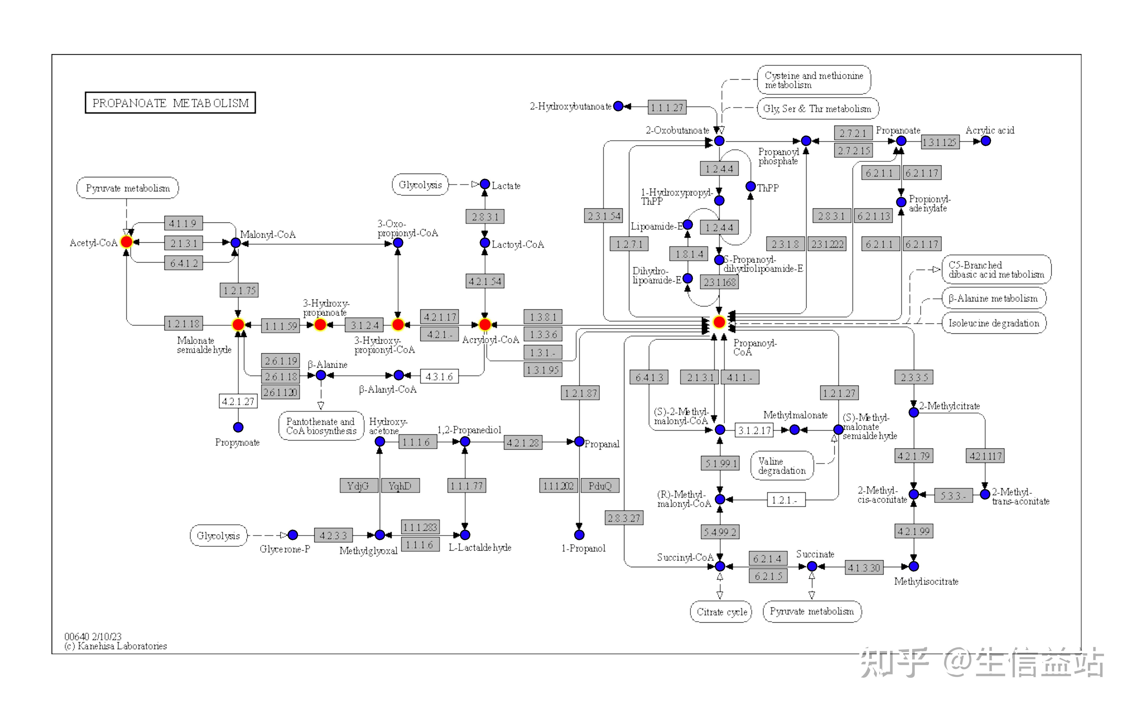 玩转KEGG (一)——遥遥领先pathview！图形语法 ggkegg 分析和可视化 KEGG 初体验 - 知乎