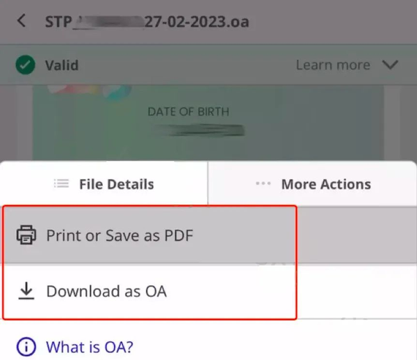 手把手教你如何办理新加坡电子版准证下载与查验 - 知乎