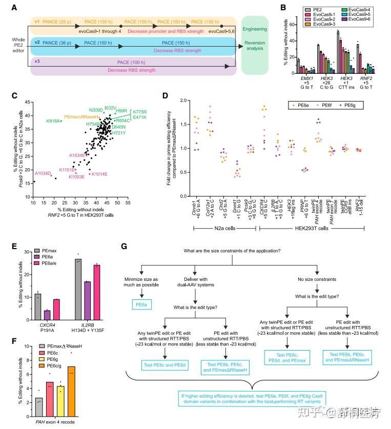 Cell | 更高效、更紧凑的先导编辑器，效率提升24倍 - 知乎