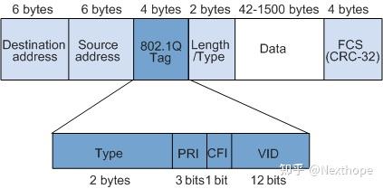 access口和trunk口，pvid，vlan - 知乎