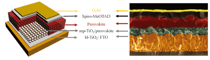 因为SEM图片处理得好，这篇Science被引用3280次！ - 知乎