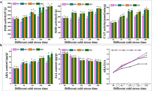 BMC Plant Biology|甘肃农业大学研究团队用Y2H技术揭示过表达VaPYL9通过调节激素信号和抗氧化酶中的关键基因提高番茄的耐寒 ...