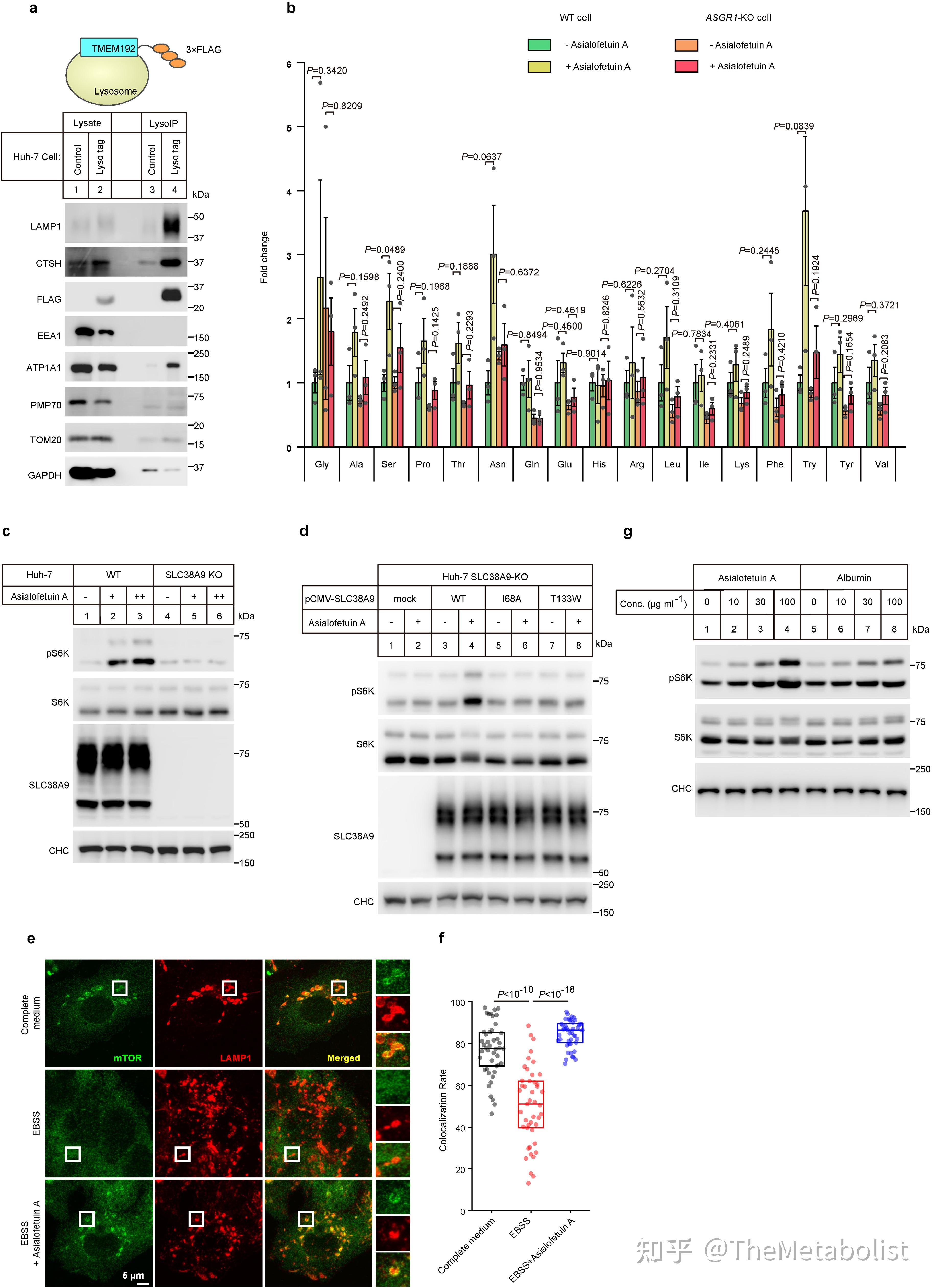 代谢学人--Nature: 驱逐胆固醇，Asgr1有奇效！ - 知乎