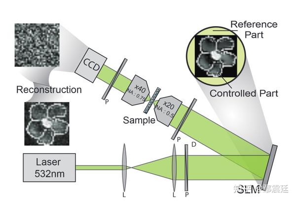 Image Transmission Through an Opaque Material论文笔记 - 知乎