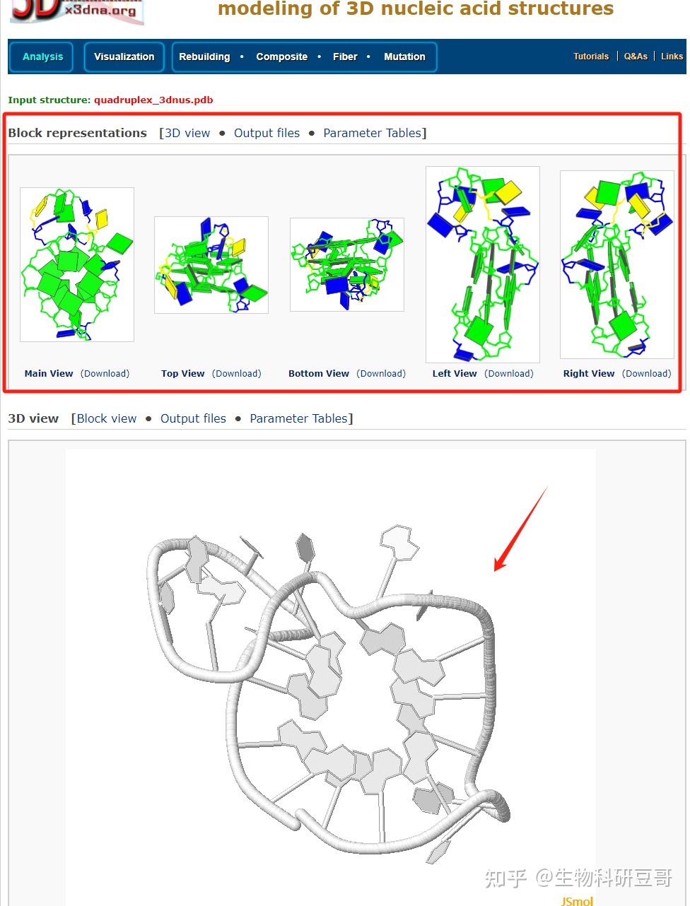 根据DNA序列预测G-四链体3D结构？Predict the 3D structure of G-quadruplex (G4 ...