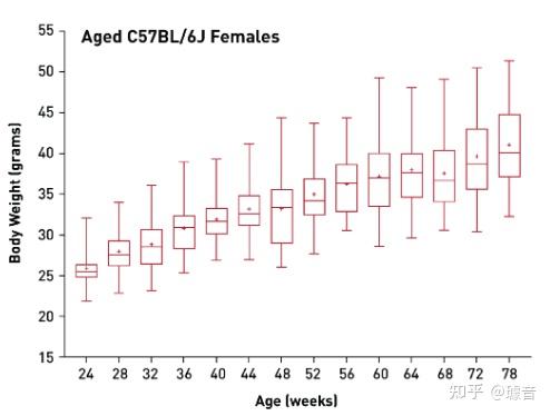 C57老龄鼠/老年鼠的应用 - 知乎