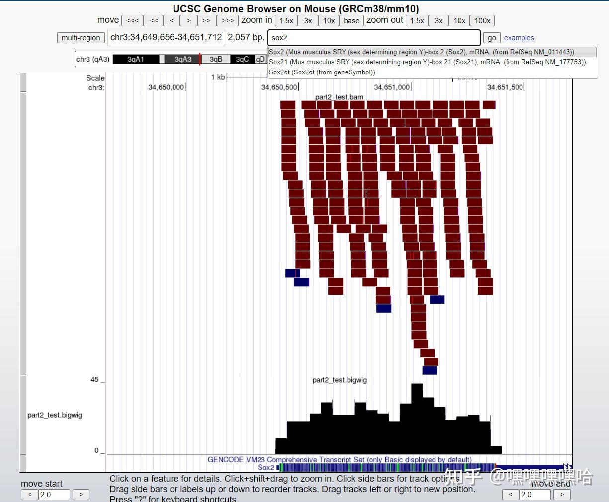 UCSC Genome Browser 使用之本地数据上传CyVerse或Github - 知乎