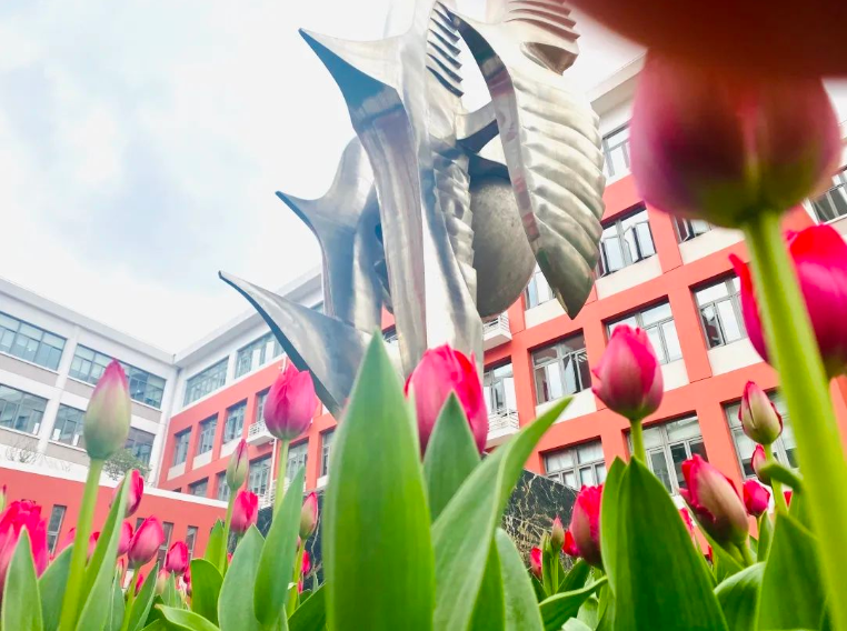 世外/平和/WLSA/包玉刚/领科学生就读体验，怎样的校园造就了名校录取牛娃？ - 知乎