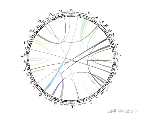 R 数据可视化 —— circlize 基因组绘图函数 - 知乎